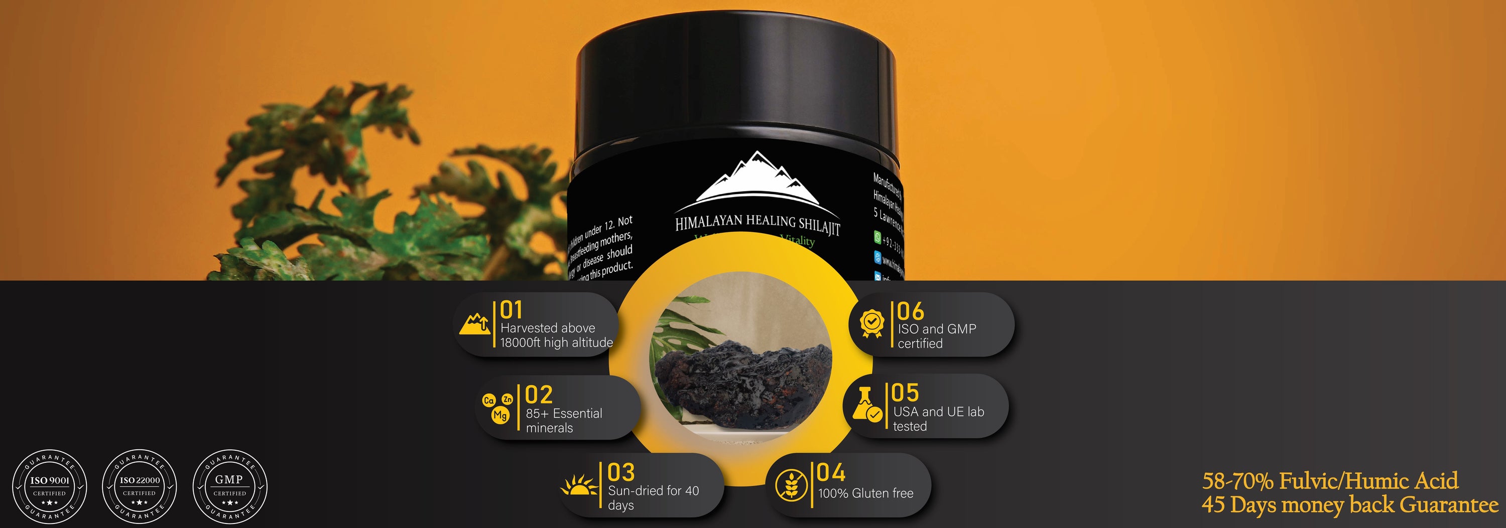 United States (USD $)